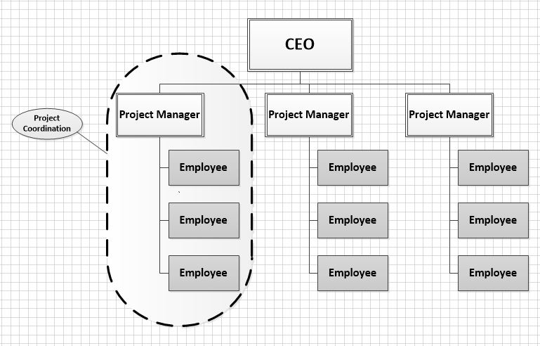 Organizational Structure on Project Management - Project Management ...