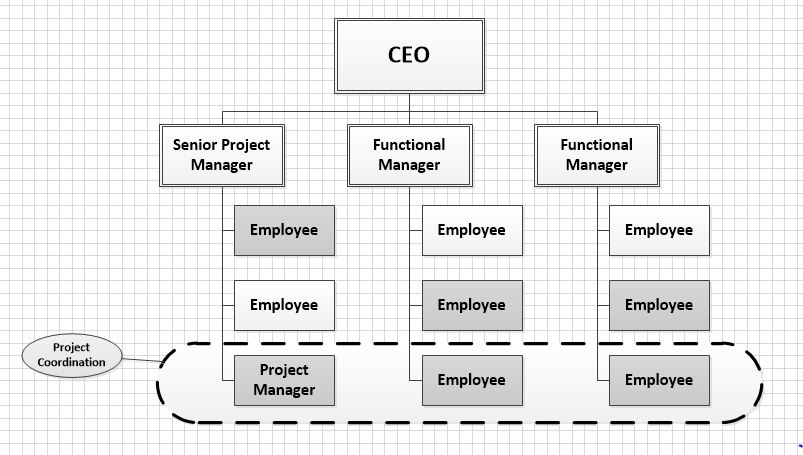 Organizational Structure on Project Management - Project Management ...